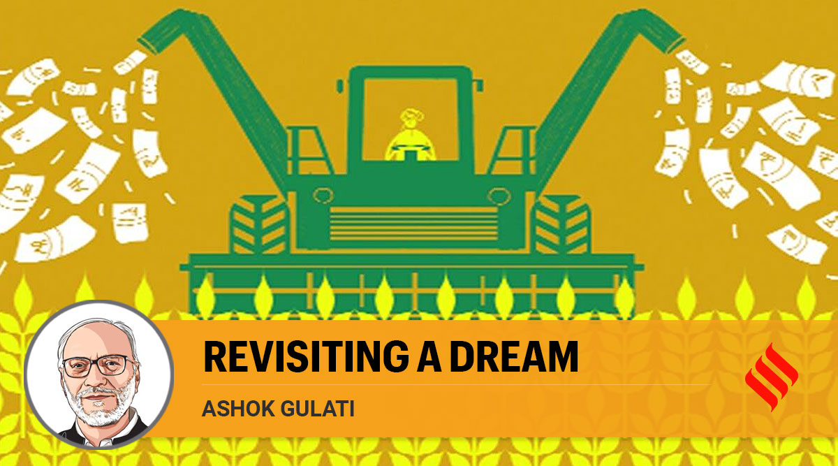 How to double India’s farmers’ income | The Indian Express