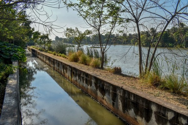 Lakes of Bengaluru: Residents want Puttenahalli lake restoration model ...