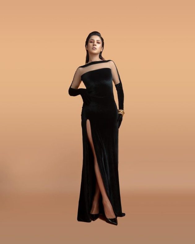 Shehnaaz Gill rocks her ‘effortlessly slay’ look | Entertainment ...