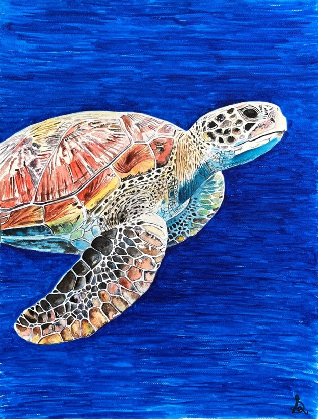 Exhibition portrayed the beauty of flora and fauna with a difference ...