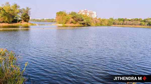 Lakes of Bengaluru: Citizens want custody of Agara lake to be handed ...