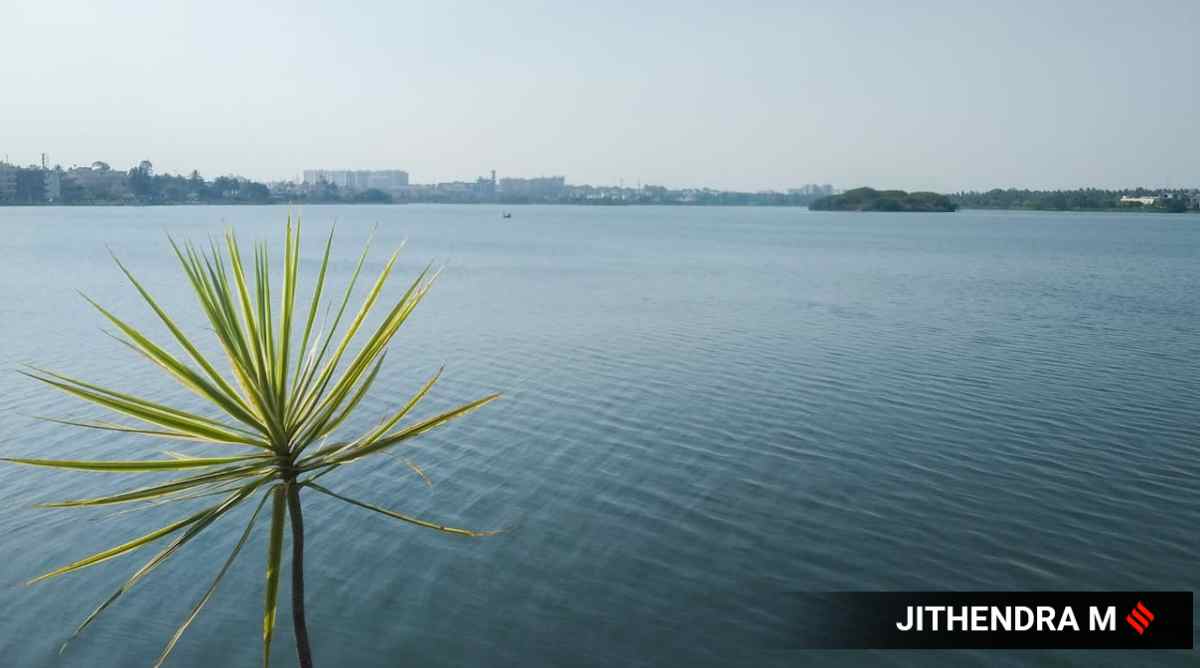 Lakes of Bengaluru: Locals throng Yelahanka lake after civic body ...