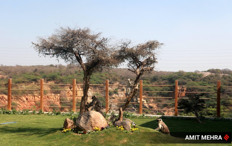 How Delhi’s Asola Bhatti Wildlife Sanctuary is becoming more welcoming ...