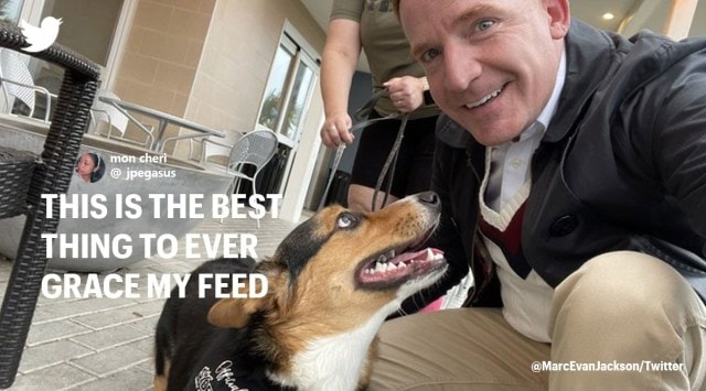 ‘Best corgi ever’: Actor Marc Evan Jackson’s selfie with corgi named ...