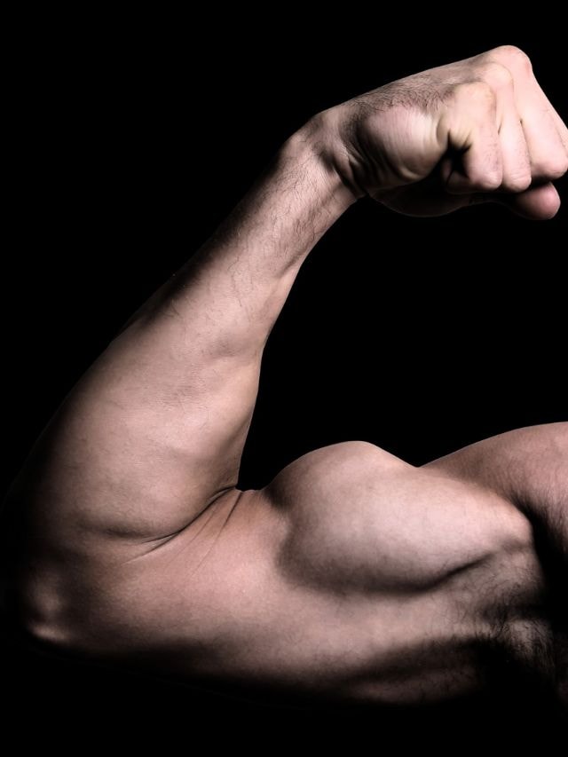 How To Do Bicep Curl The Indian Express