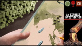 Deforestation: News, Photos, Latest News Headlines about Deforestation ...