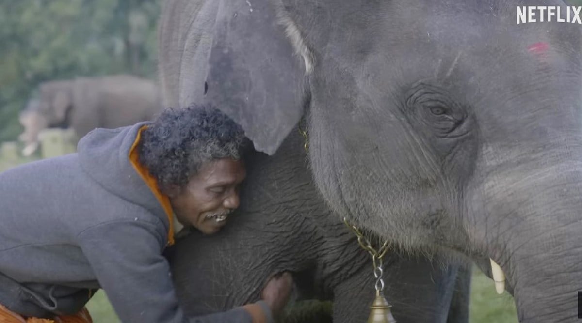 The Elephant Whisperers bag Best Documentary at Oscars 2023