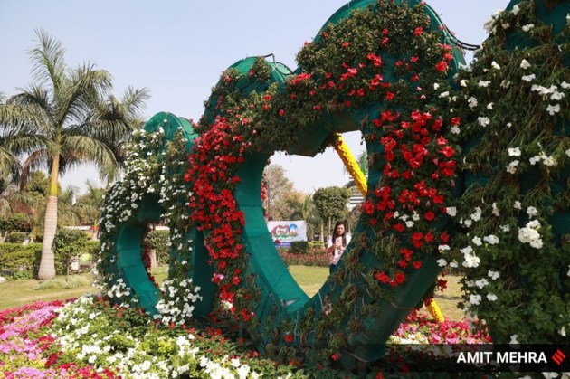 G20 Flower Festival brings vibrant hues to the Capital | Lifestyle ...