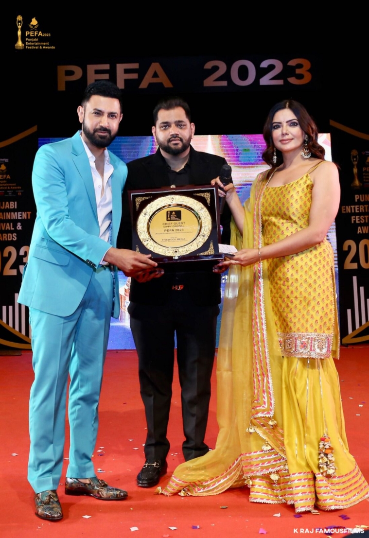 Galaxy of stars at Punjabi entertainment awards | Chandigarh News - The ...