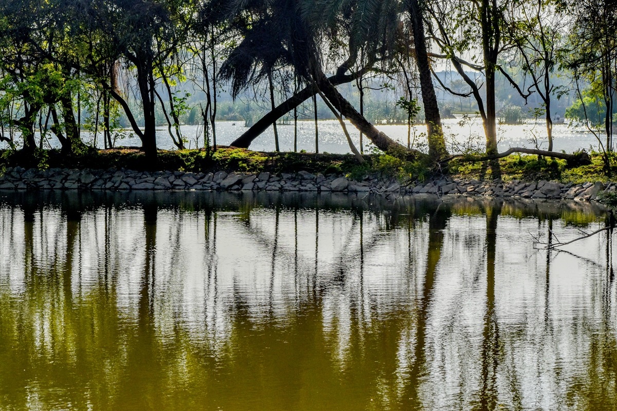 Lakes of Bengaluru: Residents want Puttenahalli lake restoration model ...