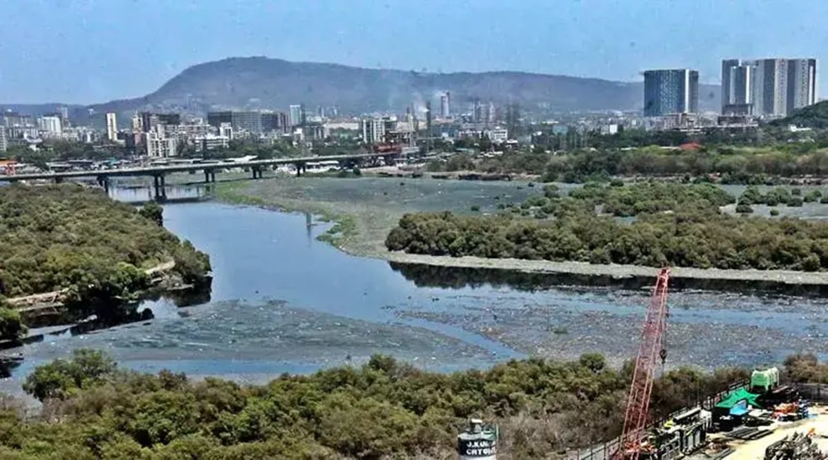 WRI identifies 5 open spaces along Mithi river to help mitigate floods ...