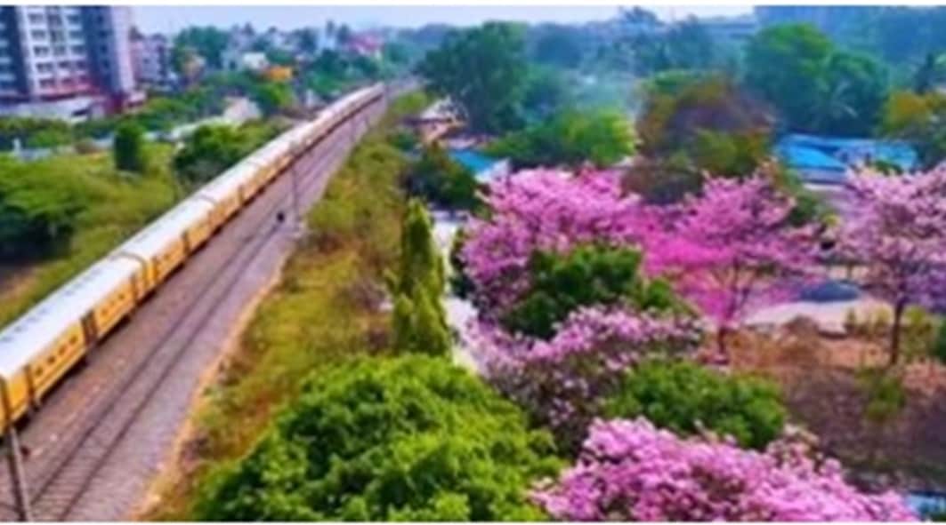 ‘Brilliant capture of the Bengaluru spring’: Train passes amid trees ...