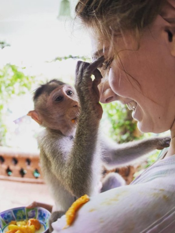 Explore India Responsibly With These Conservation Projects