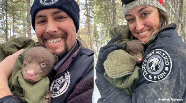 US conservation agency now hiring ‘professional bear huggers ...