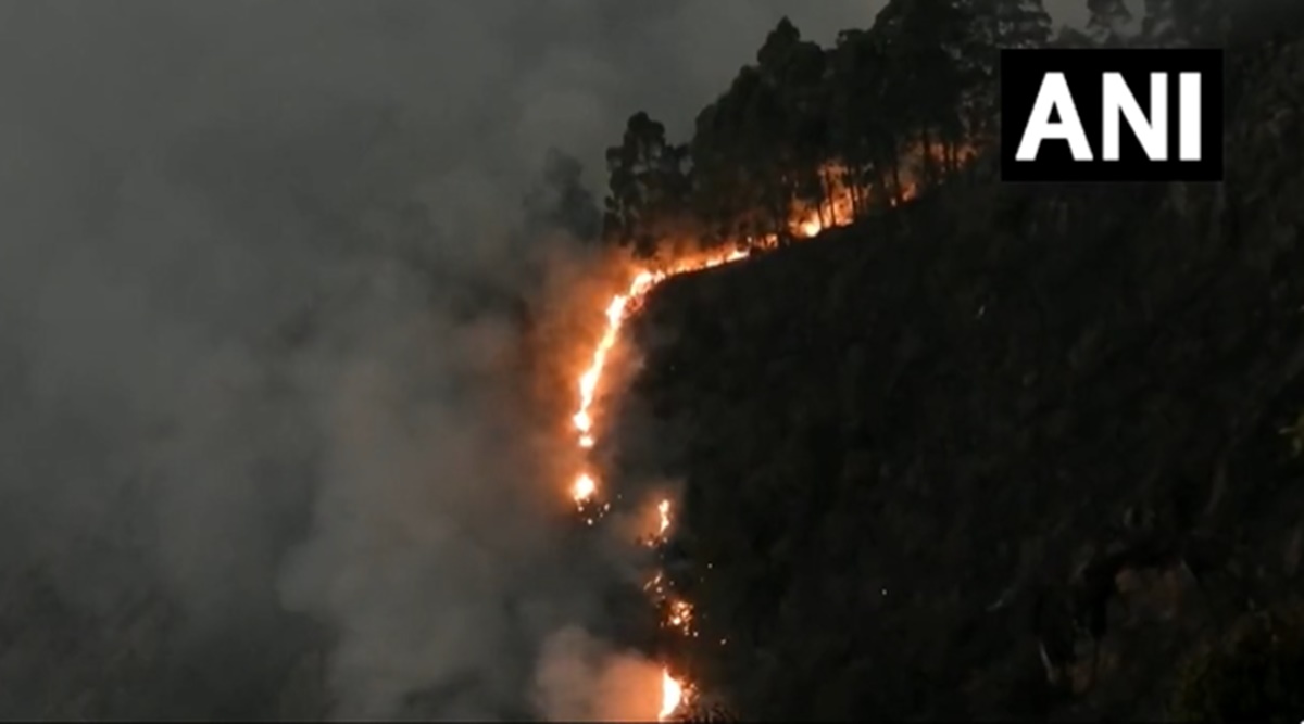 Forest fire breaks out in Tamil Nadu’s Kodaikanal, doused after 15 ...