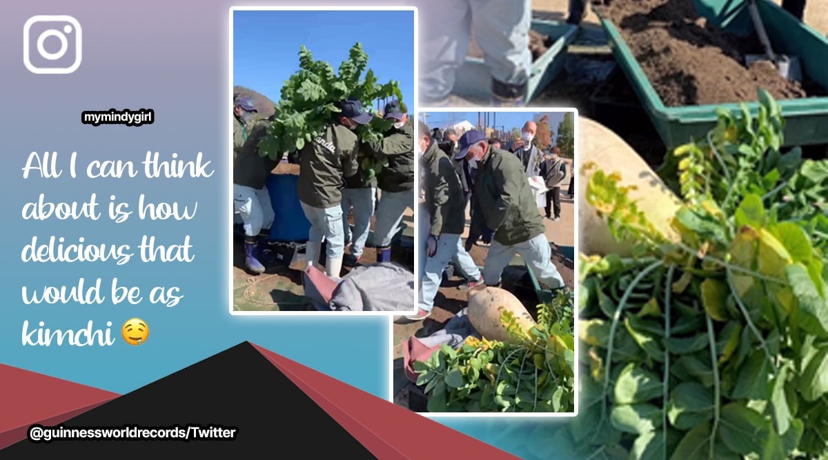 Japanese company grows radish weighing over 45 kg, sets world record ...
