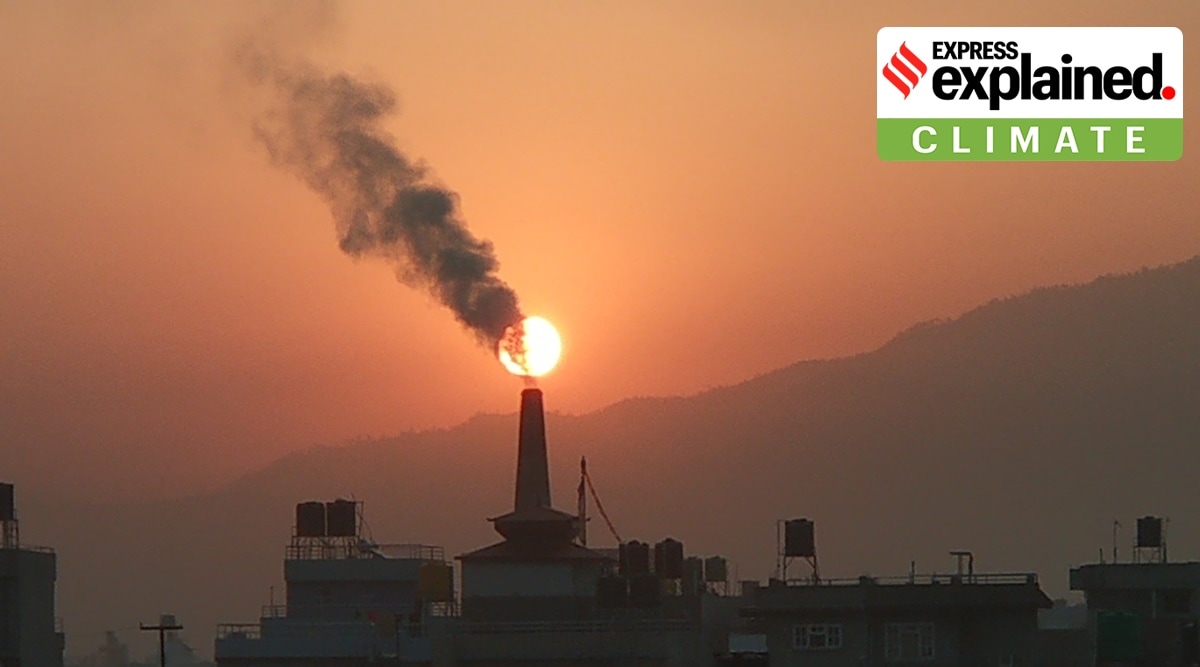 It’s not easy being green: Offsets explained | Explained News - The ...