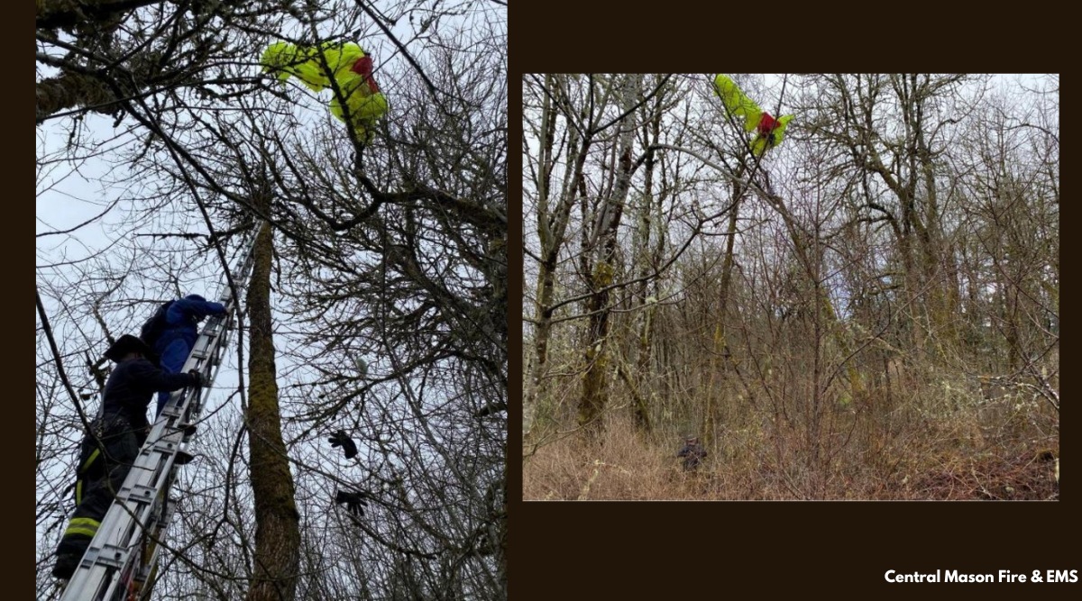 Firefighters rescue parachutist stuck on a tree in US | Trending News ...