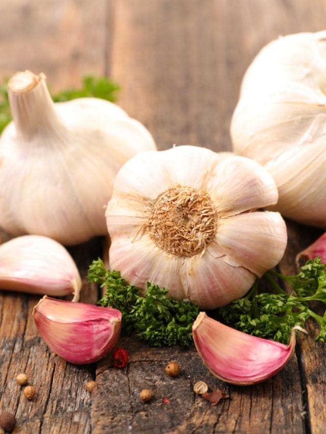 Benefits of Himalayan garlic | The Indian Express