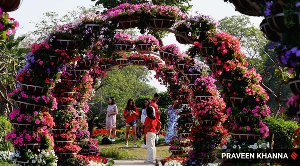 How training from abroad is helping gardeners change Delhi’s landscape ...