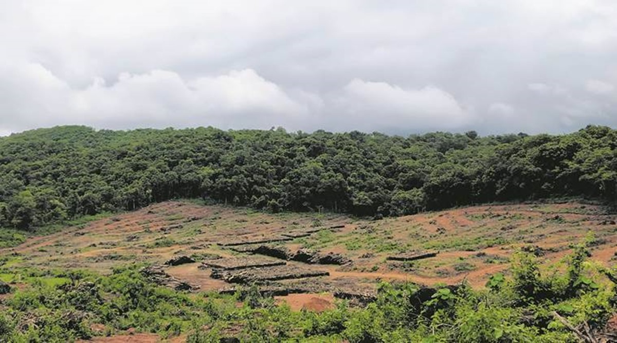 Goa-Tamnar transmission project continues to face opposition in ...