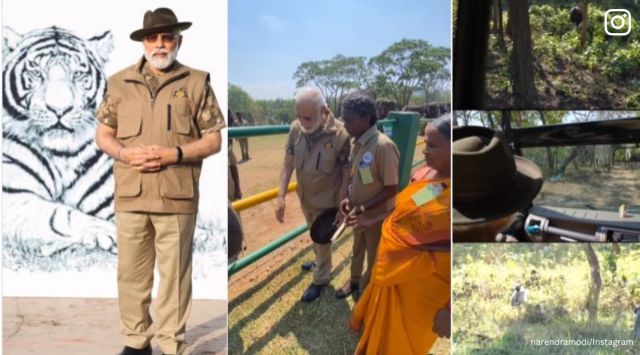 PM Modi shares photos from visit to Bandipur and Mudumalai tiger ...