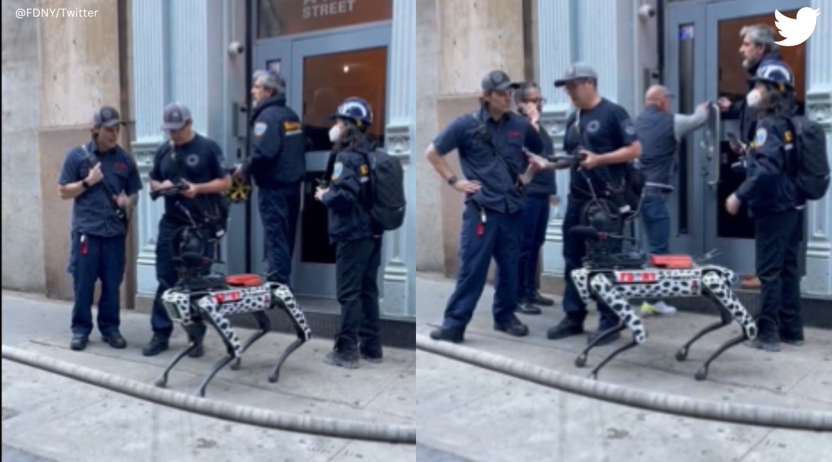 Watch how a robotic dog helps in rescue ops after building collapse in ...