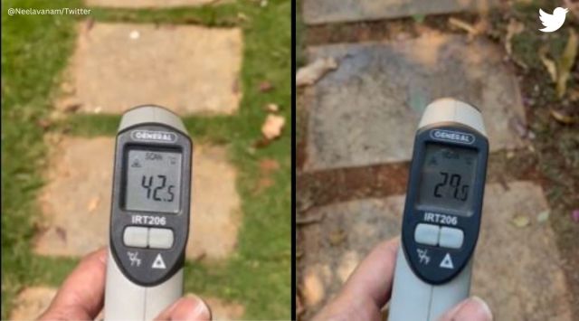 Watch: Woman shows how temperature reduces substantially under shade of ...