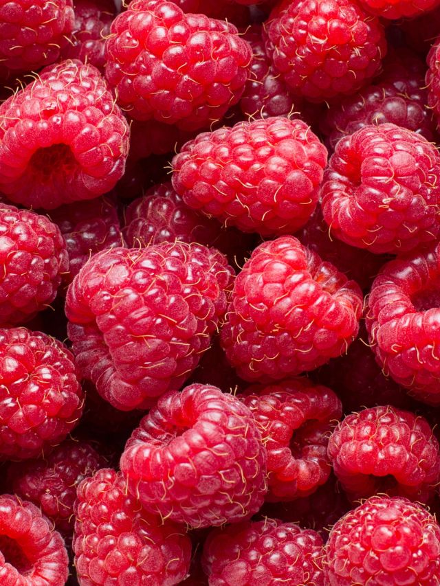 Benefits of raspberry | The Indian Express