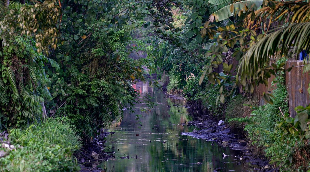 Residents try to save a river in Kerala’s Eloor, officials deny ...