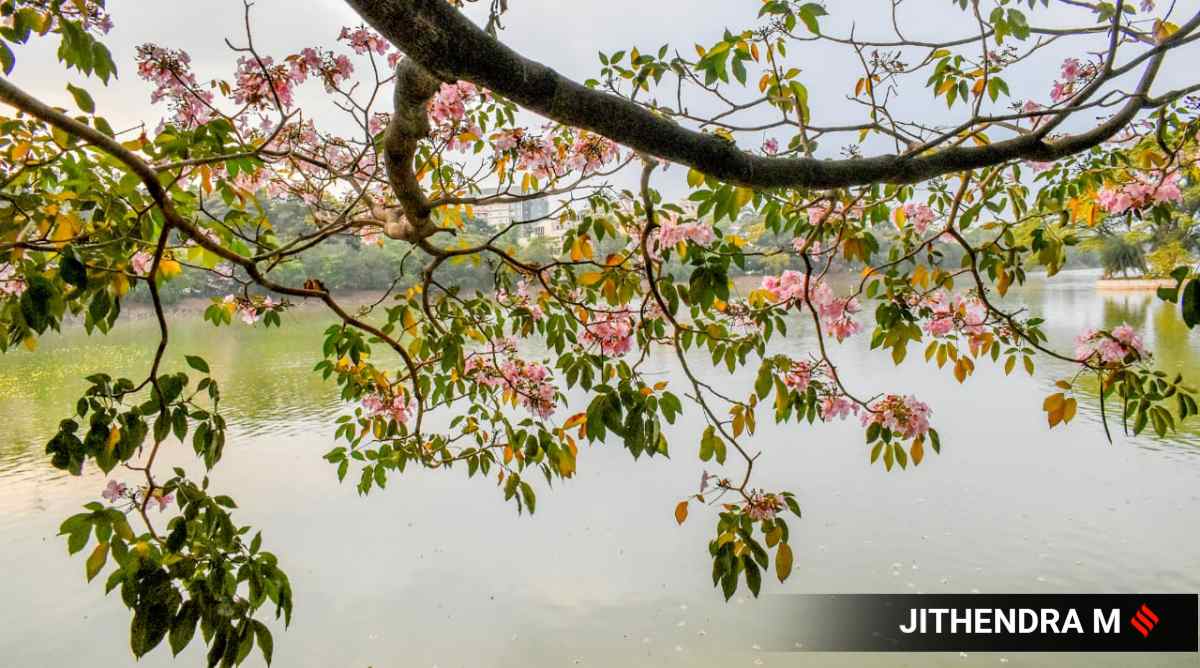 Lakes of Bangalore: Ulsoor Lake tells the story of the city | Bangalore ...