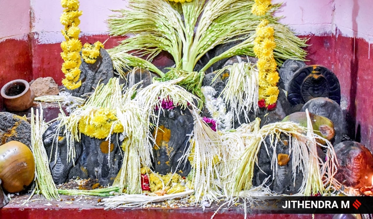 Of serpents and people: Nagamandala celebrations in coastal Karnataka ...
