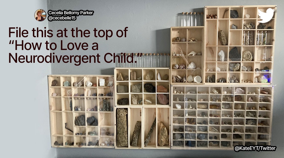 Mom organises autistic son’s collection of strange things into a wall ...