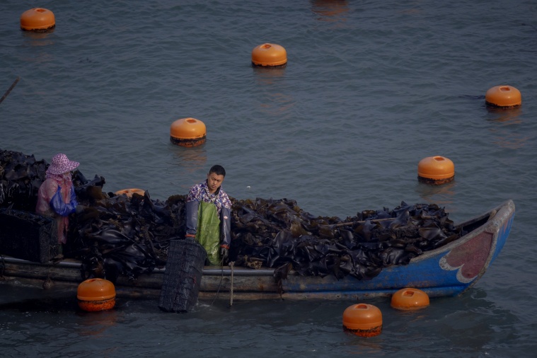 Chinese fishing crews navigate troubled waters as tensions with Taiwan ...