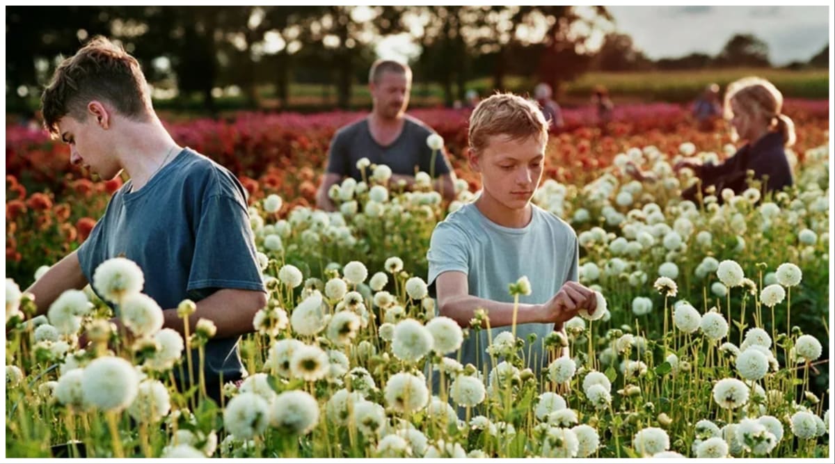 Close movie review: Lukas Dhont’s Oscar nominated drama is harrowing ...