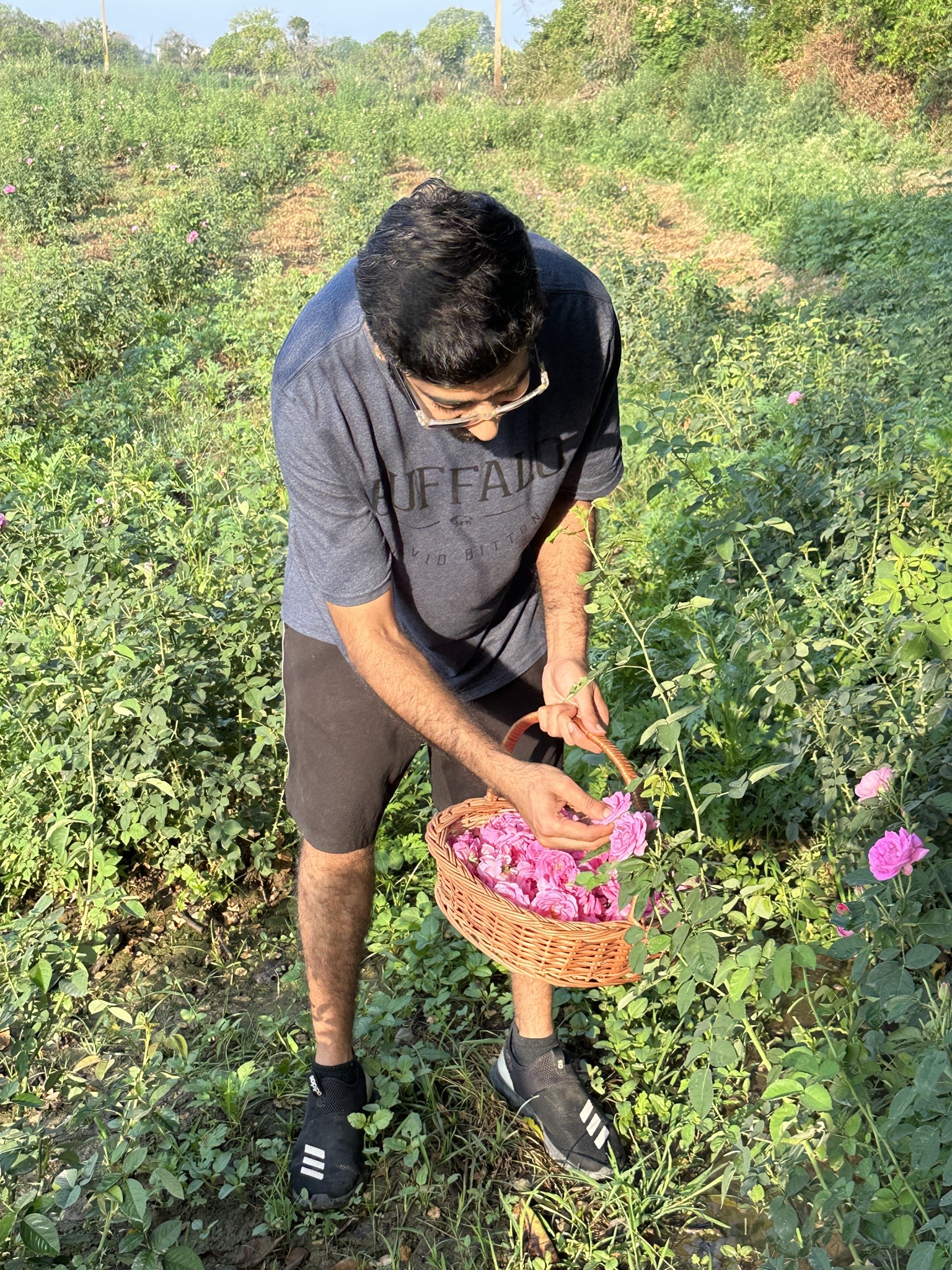 Kannauj's Fragrance Legacy: This Master Perfumer Takes You On A Sensory ...