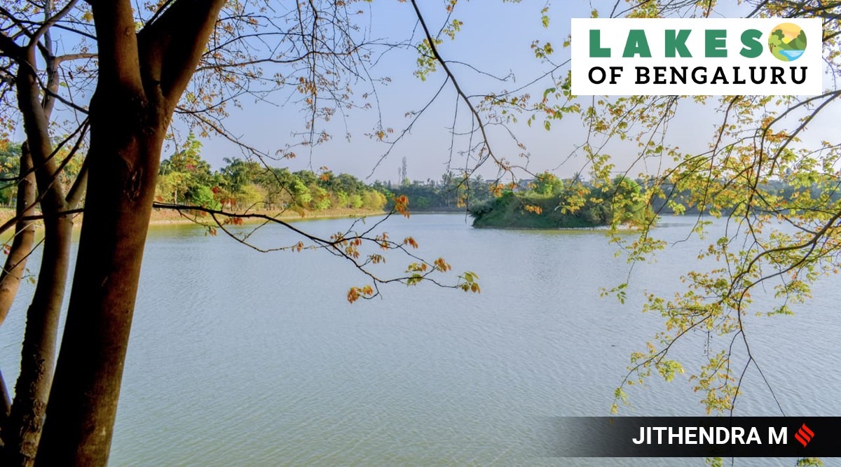 Lakes of Bengaluru: Rejuvenated but Allalasandra needs attention again ...