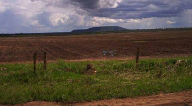 YEIDA clears decks for 26 land allottees to set up their units ...