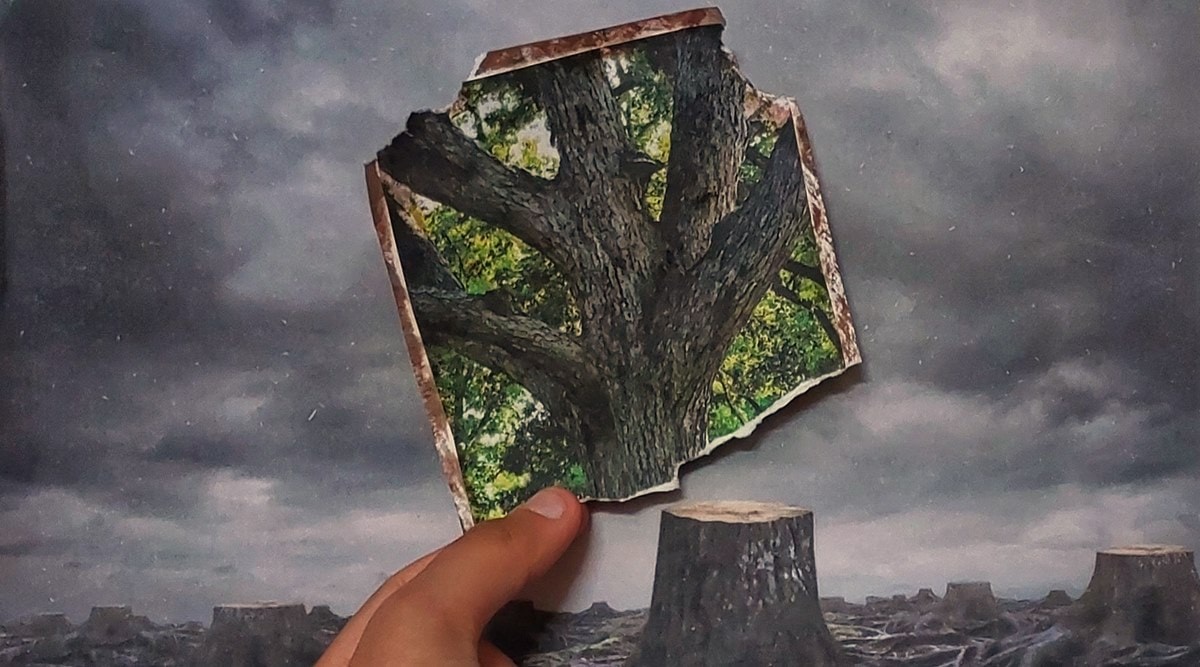 How the youth is harnessing the power of photography to inspire action ...