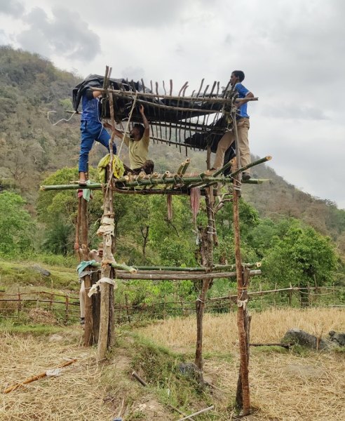 Looking for tigers in an Uttarakhand village