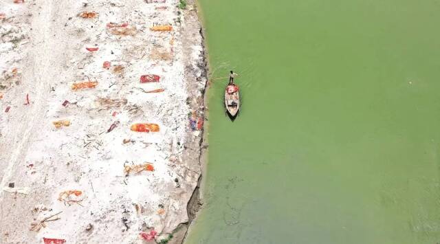 Algae in Ganga Canal, water supply in Delhi affected | Delhi News - The ...