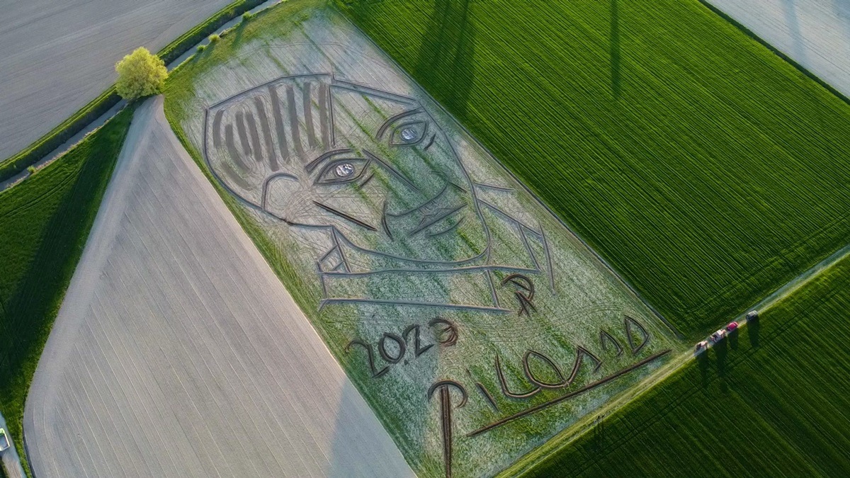 Italian land artist uses tractor to create Picasso portrait to mark the ...