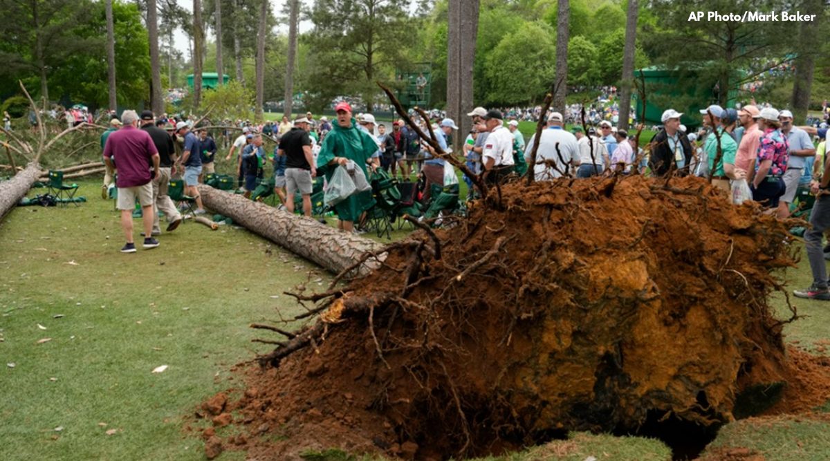 ‘This is so unbelievable’: Golf fans escape unharmed after pine trees ...