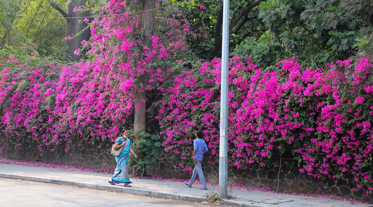 Pune records year’s highest temperature, mercury expected to rise ...