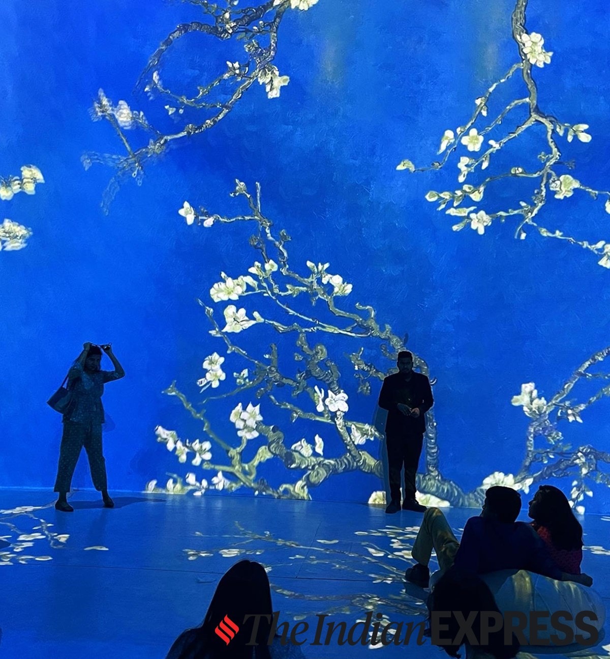 ‘Melancholic and heartwarming’: Van Gogh 360° catches the fancy of art ...