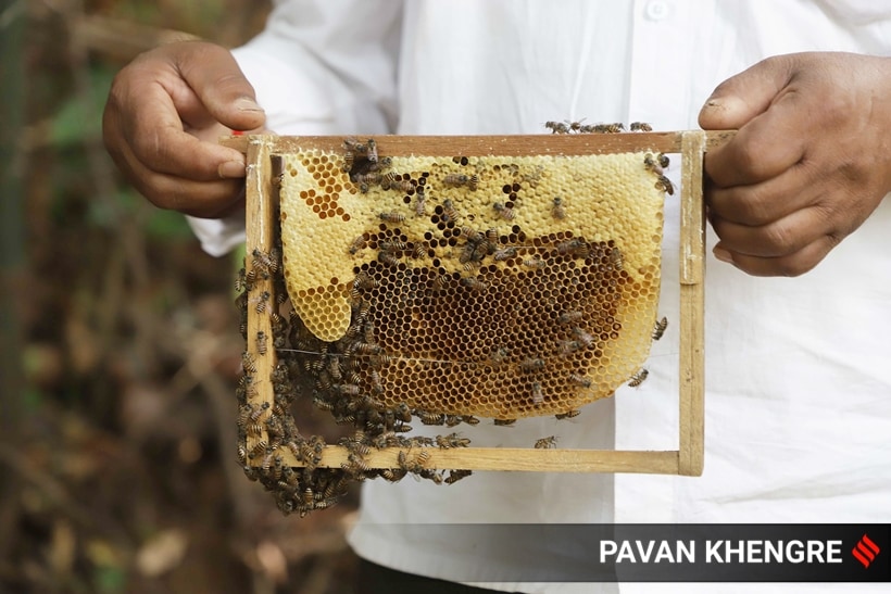 The A, Bee, C of sweet prosperity | Pune News - The Indian Express