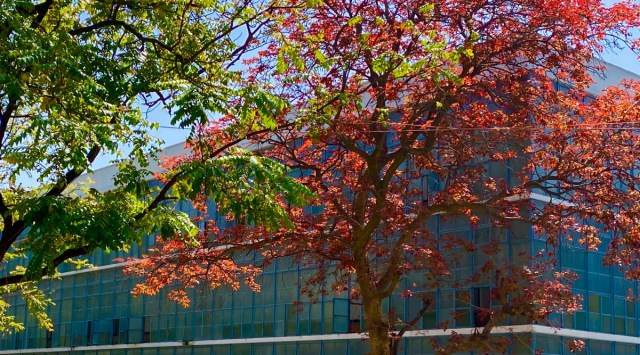 What’s on Chandigarh: A photo exhibition to celebrate the city’s ...