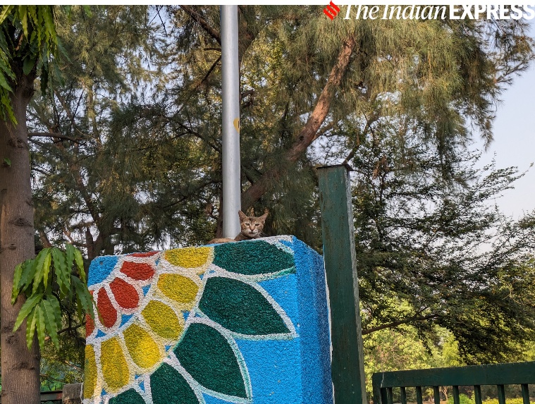 Google Pixel 7a review