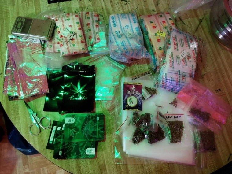 Olympian, ex-Russian cop and an illicit LSD lab: How an international drug cartel in Goa was ...