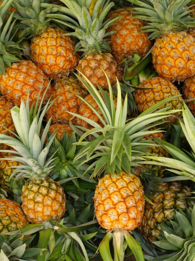 Health benefits of pineapple | The Indian Express